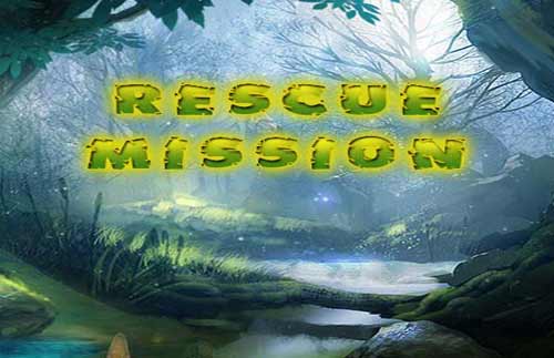 Rescue Mission - at hidden4fun.com