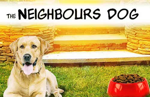 The Neighbours Dog - at hidden4fun.com