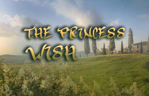 The Princess Wish - at hidden4fun.com